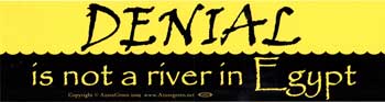 Denial Is Not A River In Egypt bumper sticker-Azuregreen